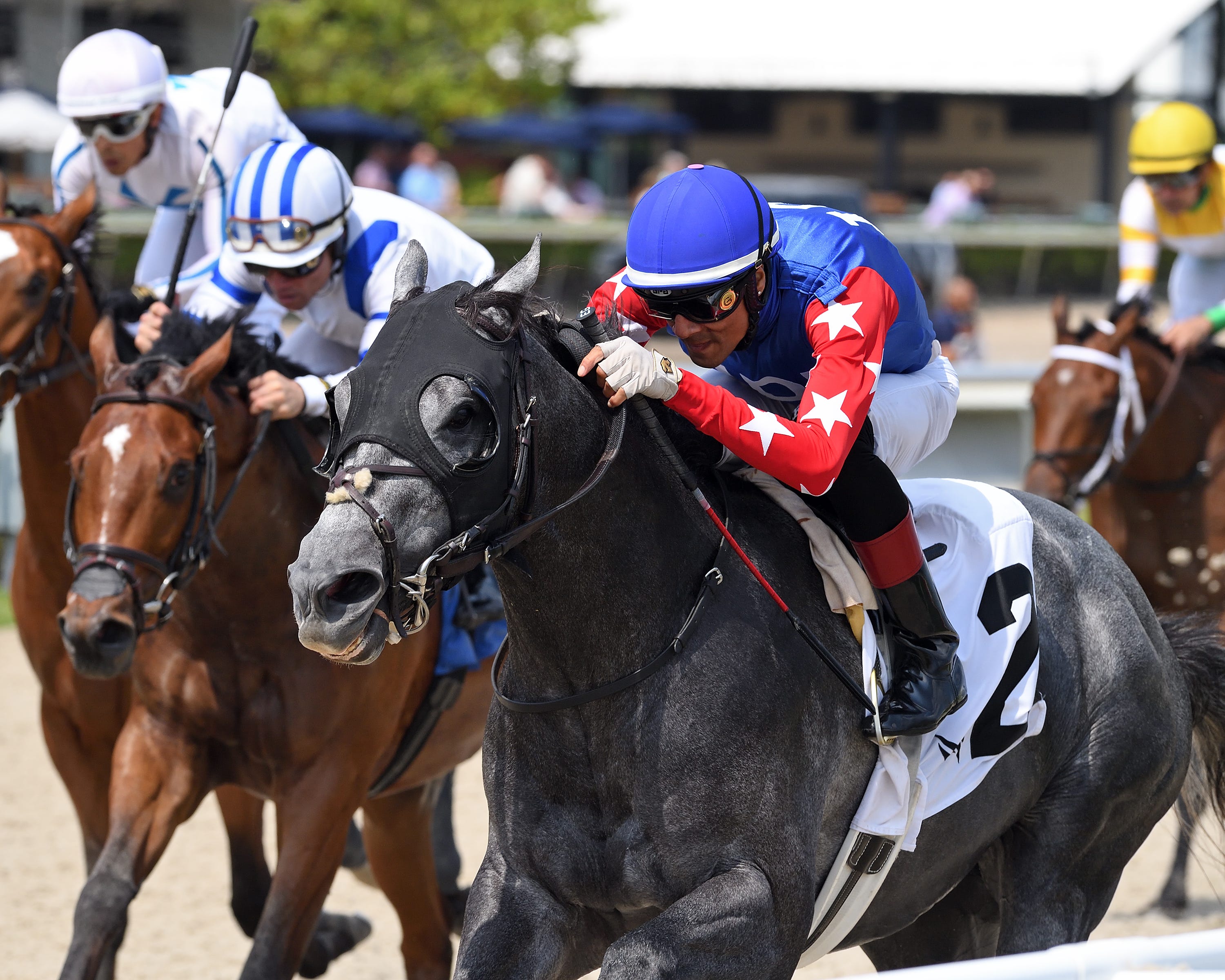 Seminole Chief looks for another step forward in Florida Derby